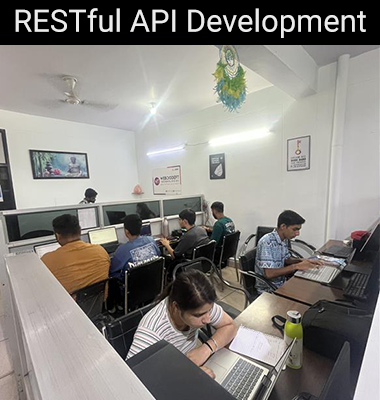 RESTful API Development